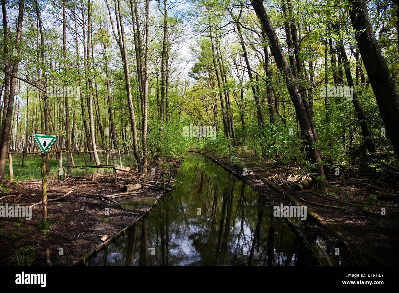 Forest, Nature Reserve, spring, water, trees, sign Stock Photo - Alamy