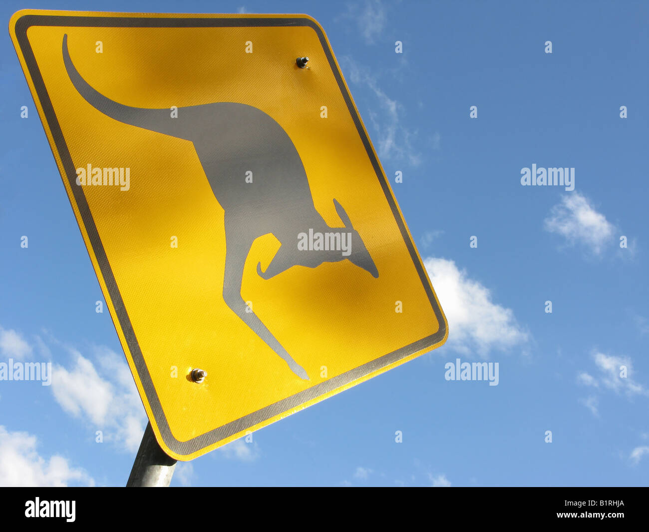 Kangaroo Road Sign Stock Photo - Alamy