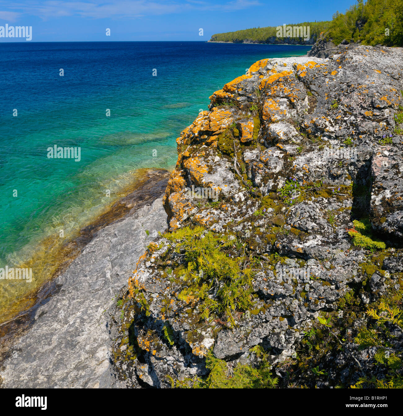 Orange lichen on cliff at Little Cove Bruce Peninsula Ontario Stock ...