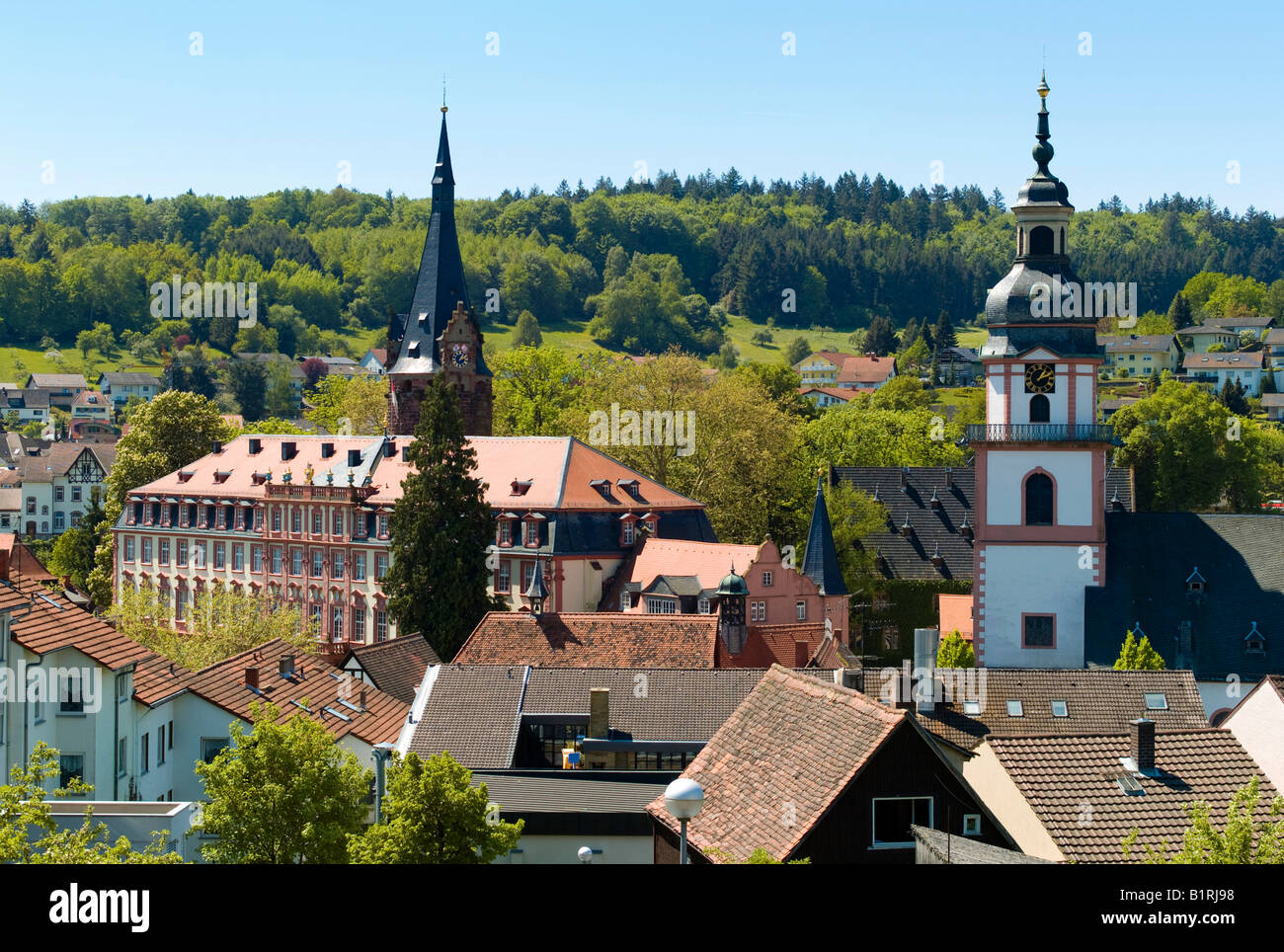Castle of the counts of Erbach-Erbach, Erbach, Odenwald Range, Hesse ...