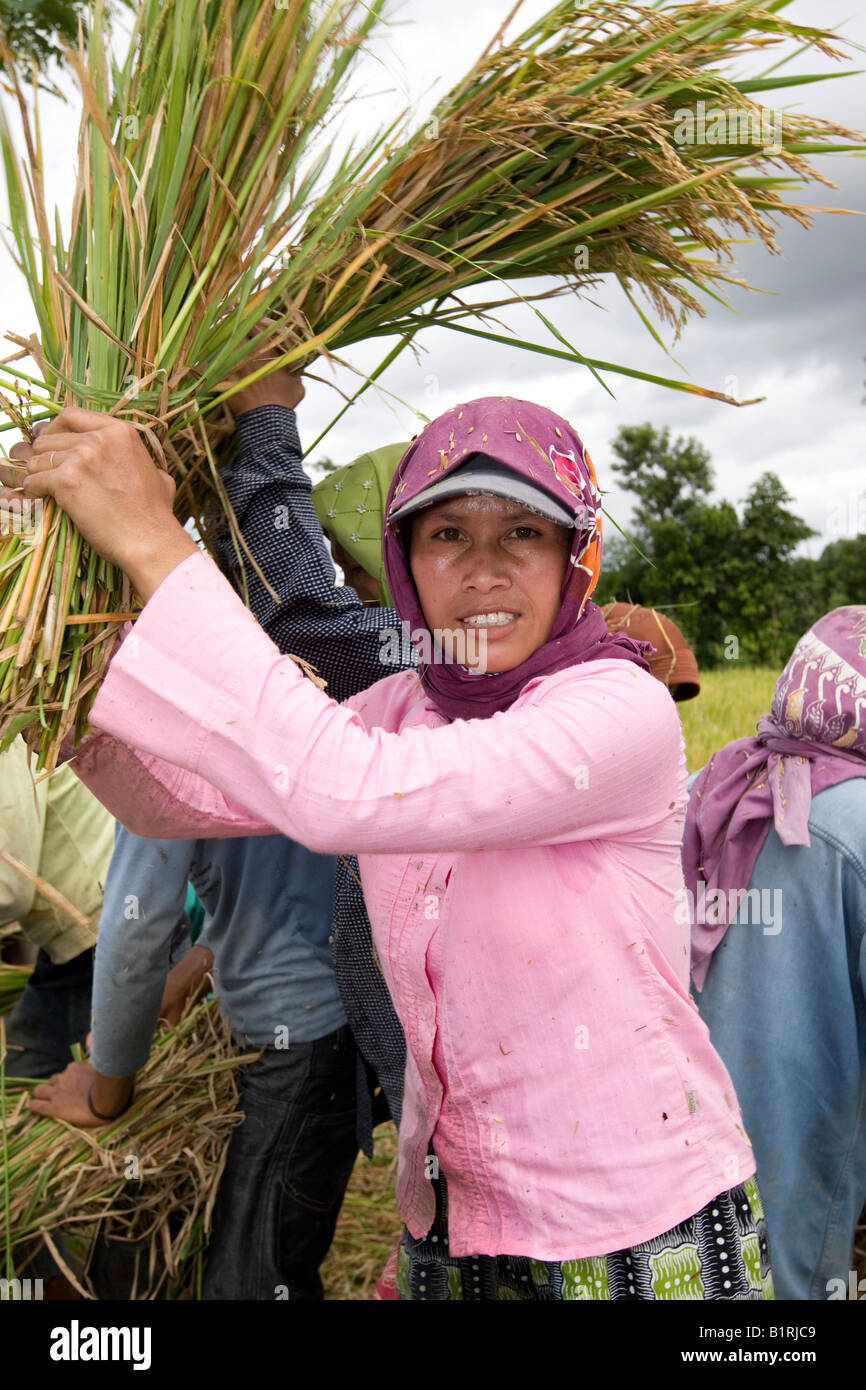 Reisbäuerin hi-res stock photography and images - Alamy
