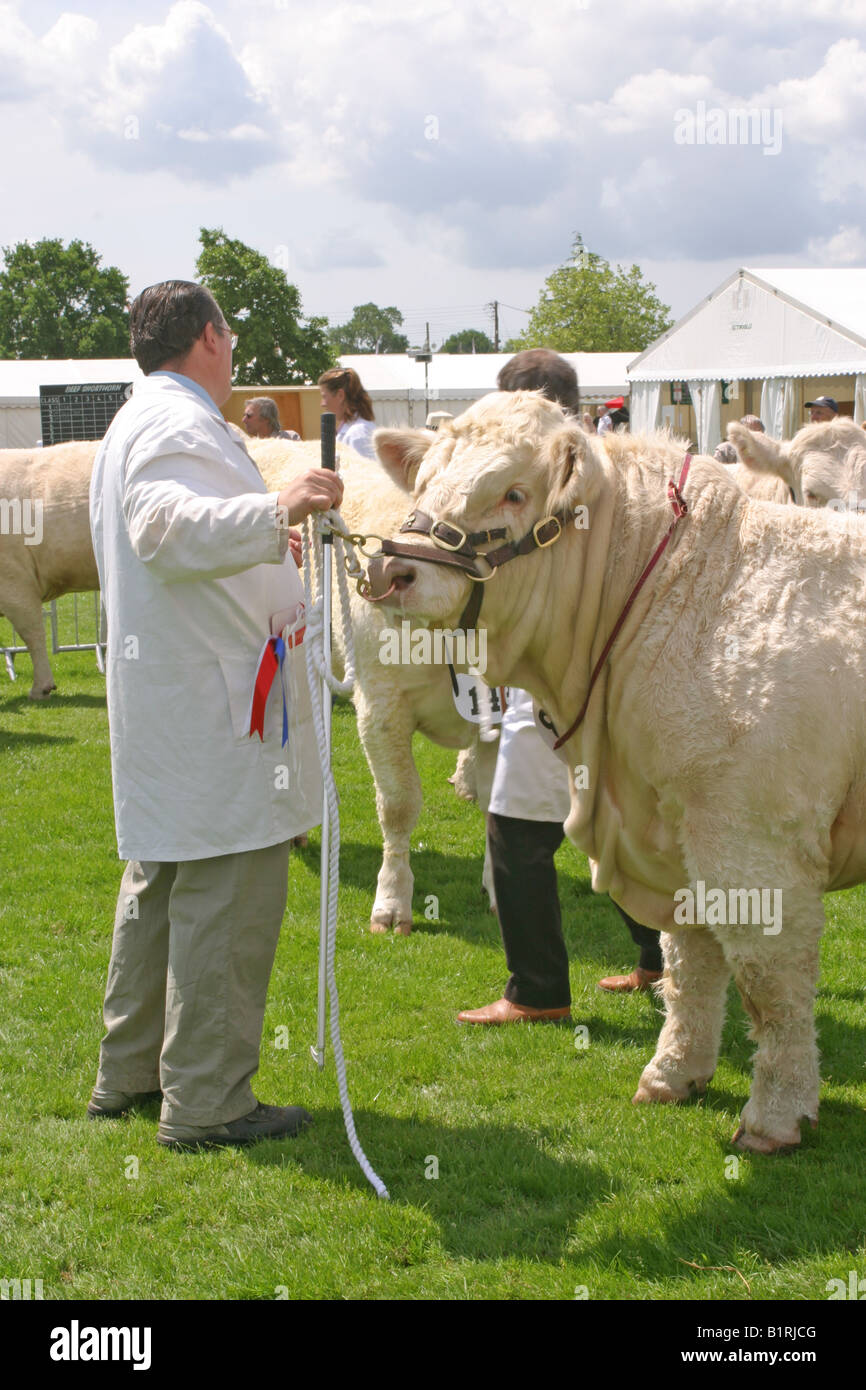 South of England Show Ardingly West Sussex UK June 2008 Stock Photo - Alamy