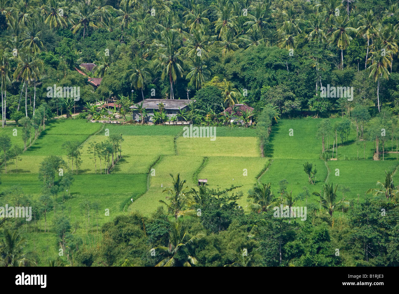 Extensive cultivation hi-res stock photography and images - Alamy