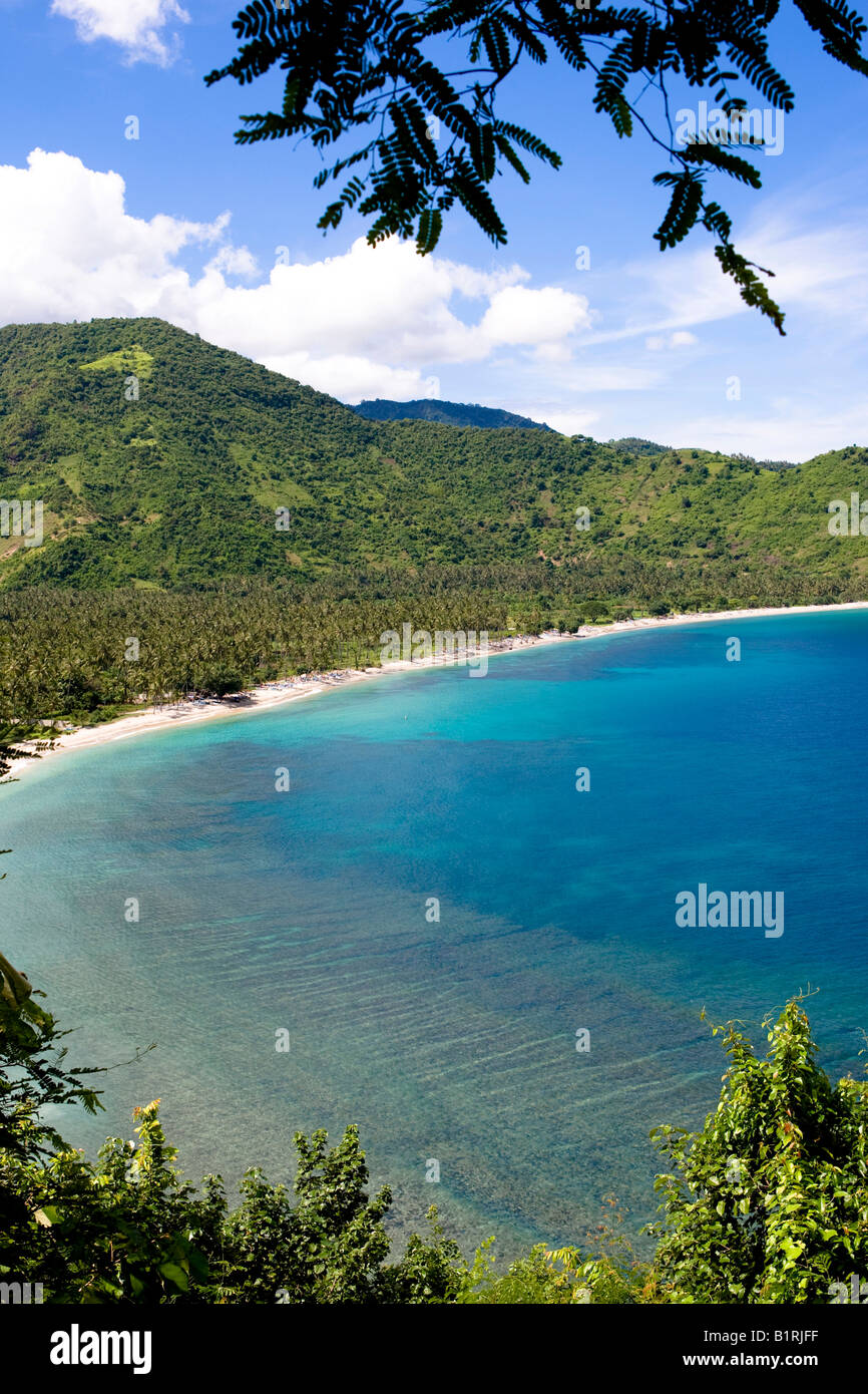 Lonely bay with palms by a coral reef, Senggigi, Lombok Island, Lesser ...