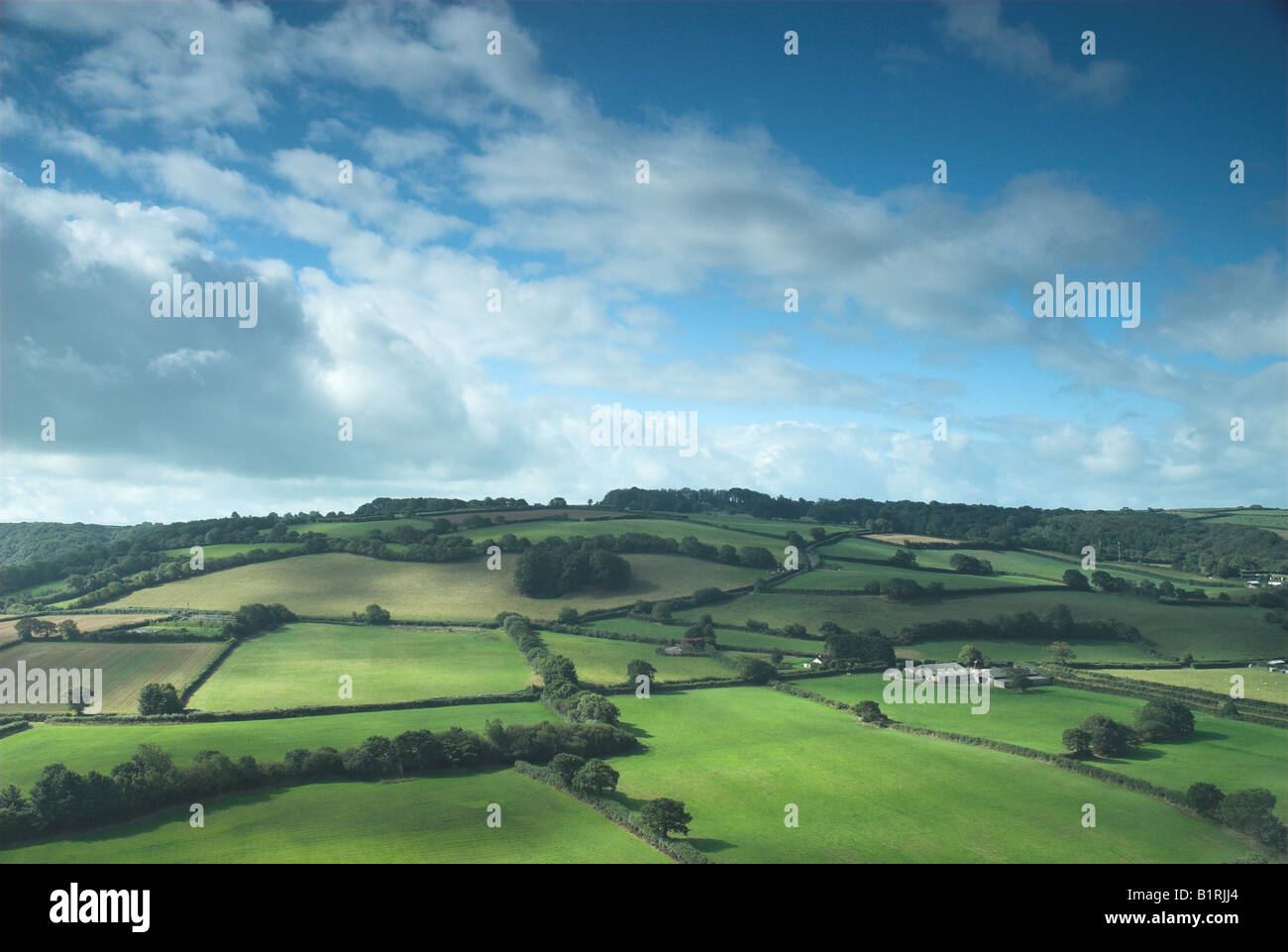 Lush green farmland fields, Great Torrington, Devon, UK Stock Photo - Alamy