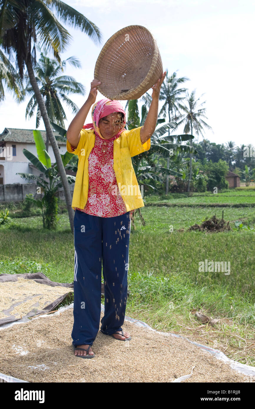 Ground rice hi-res stock photography and images - Alamy