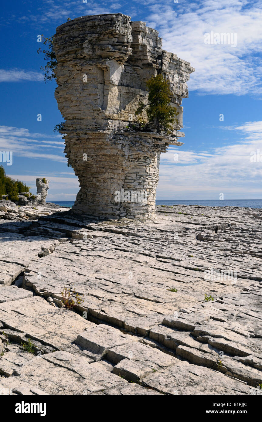 Rock Flowerpots rising out of Niagara Escarpment limestone on Flowerpot ...