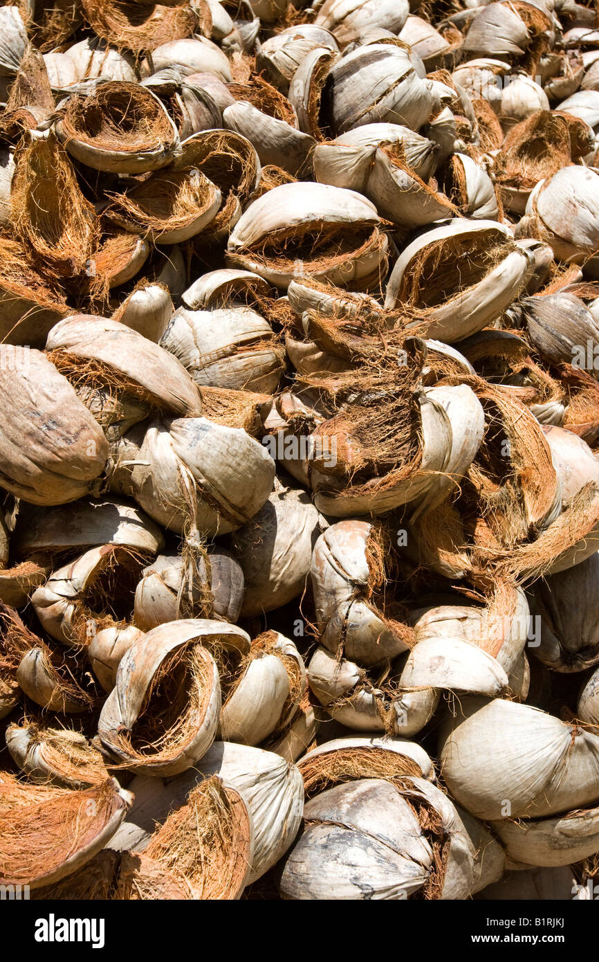 Huge pile of empty coconuts, husks, used to produce copra, Lombok ...