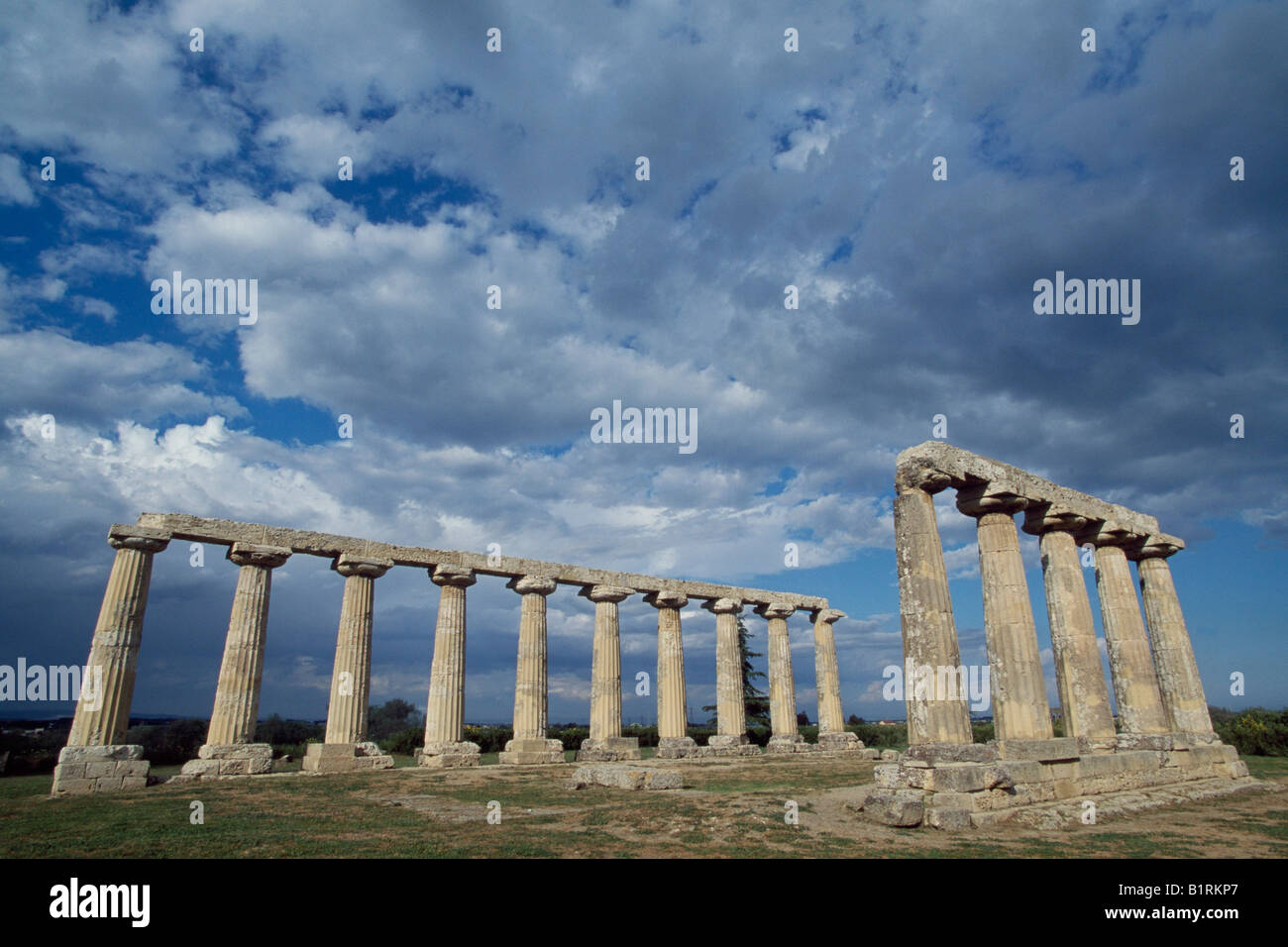 Greek temple, Metaponto, Basilicata, Italy Stock Photo - Alamy
