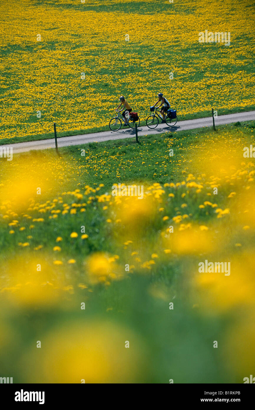 Koenig pair hi-res stock photography and images - Alamy