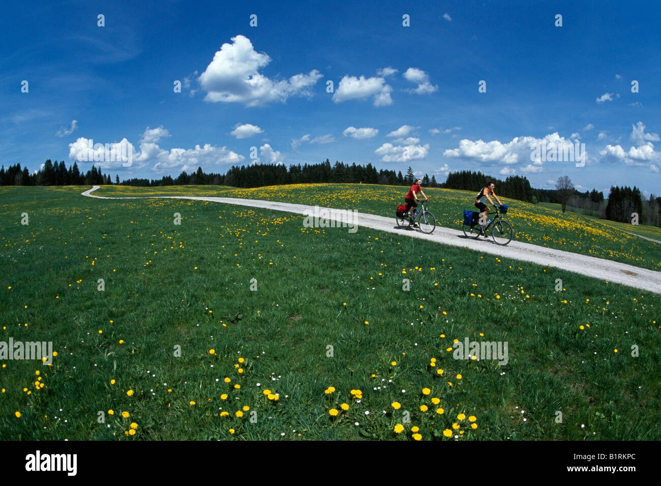 Koenig Ludwig Tour close to Pfronten, Allgaeu, Bavaria, Germany Stock ...
