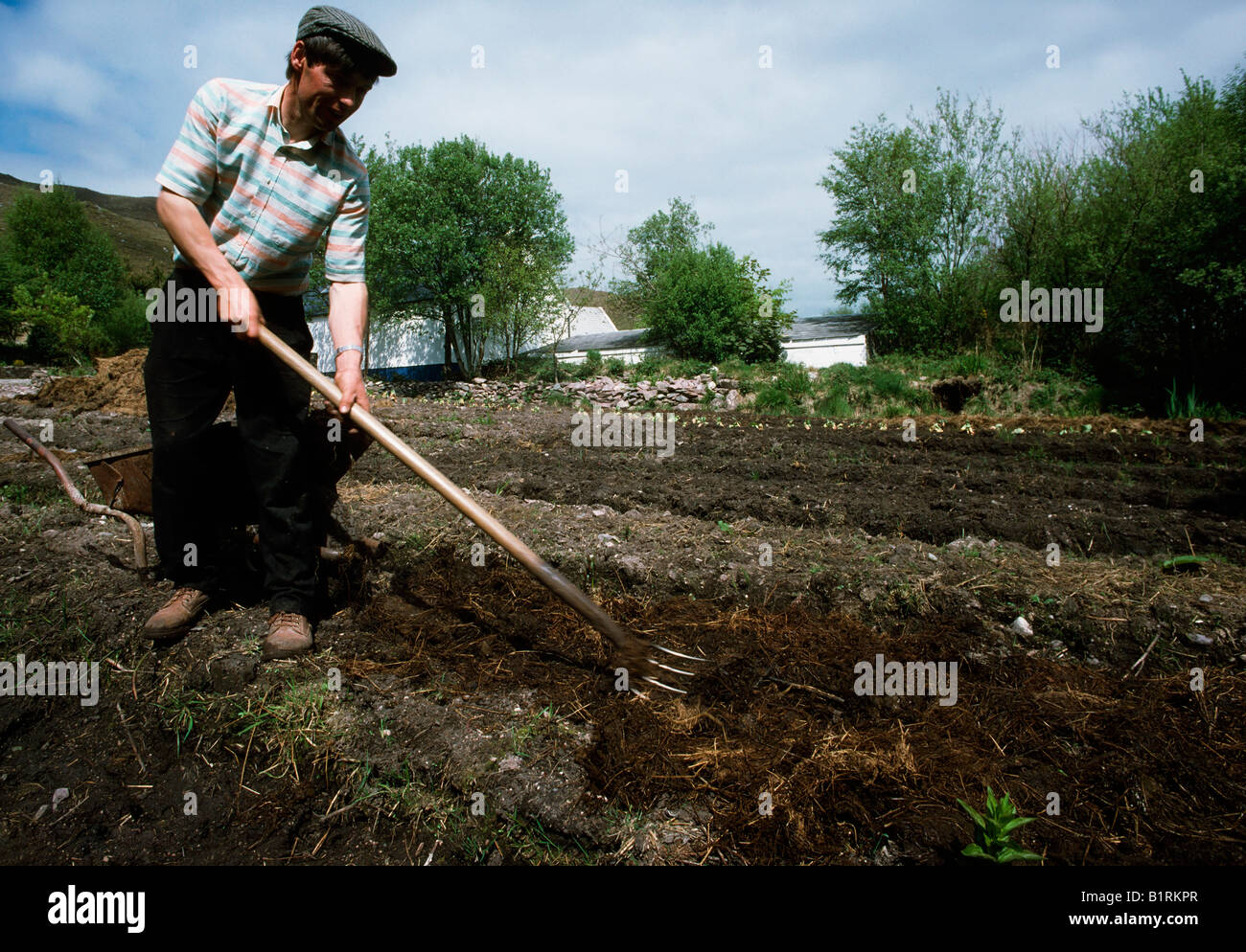 Ireland, Traditional Farming, Applying Fertiliser Stock Photo - Alamy