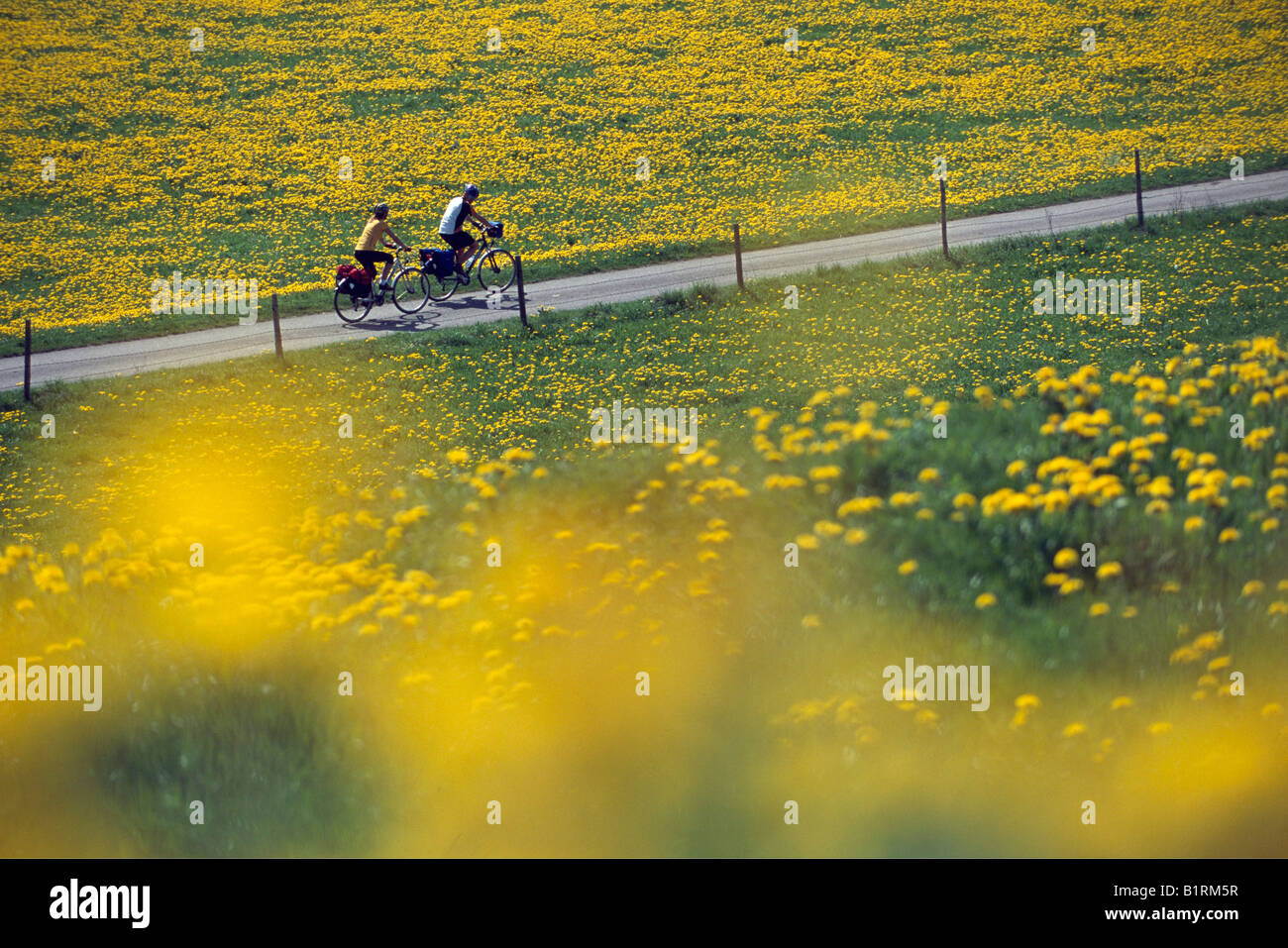 Two bikers on a little street in spring Stock Photo - Alamy