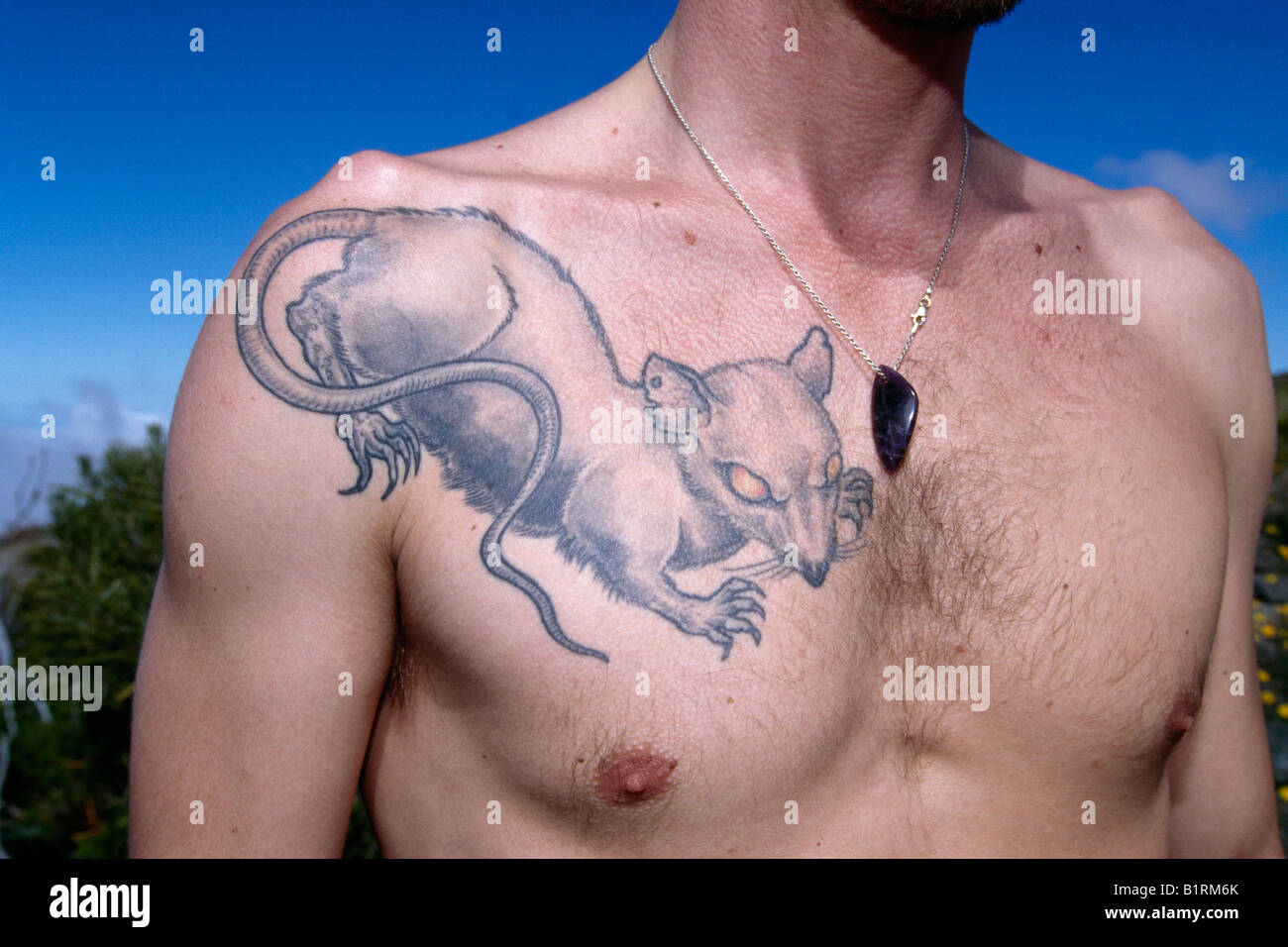 Tattoo, chest, man Stock Photo - Alamy