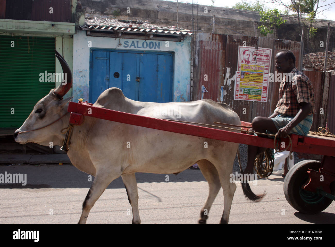 Bullock cart india hi-res stock photography and images - Alamy