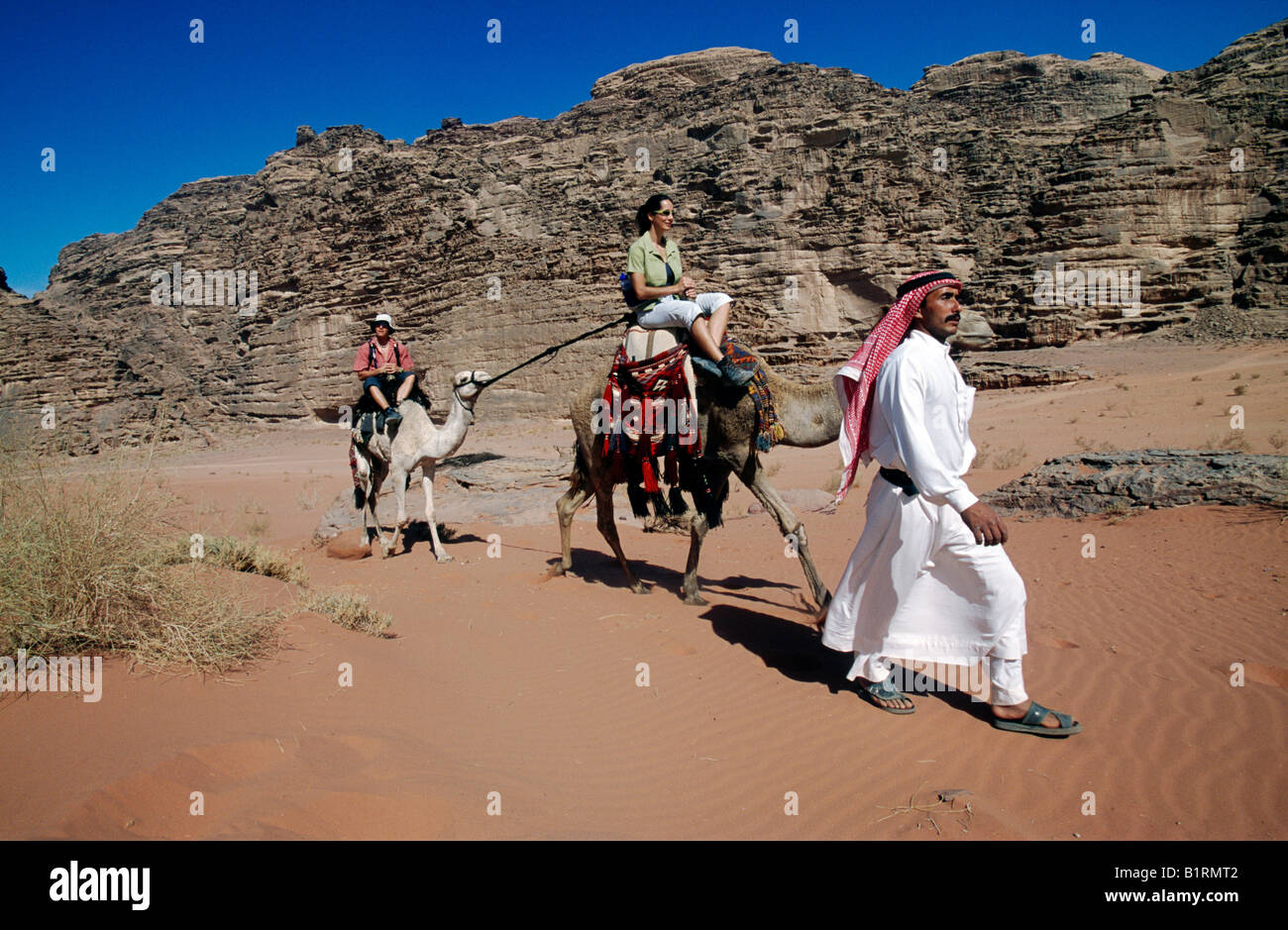 Wadi rum kamele hi-res stock photography and images - Alamy