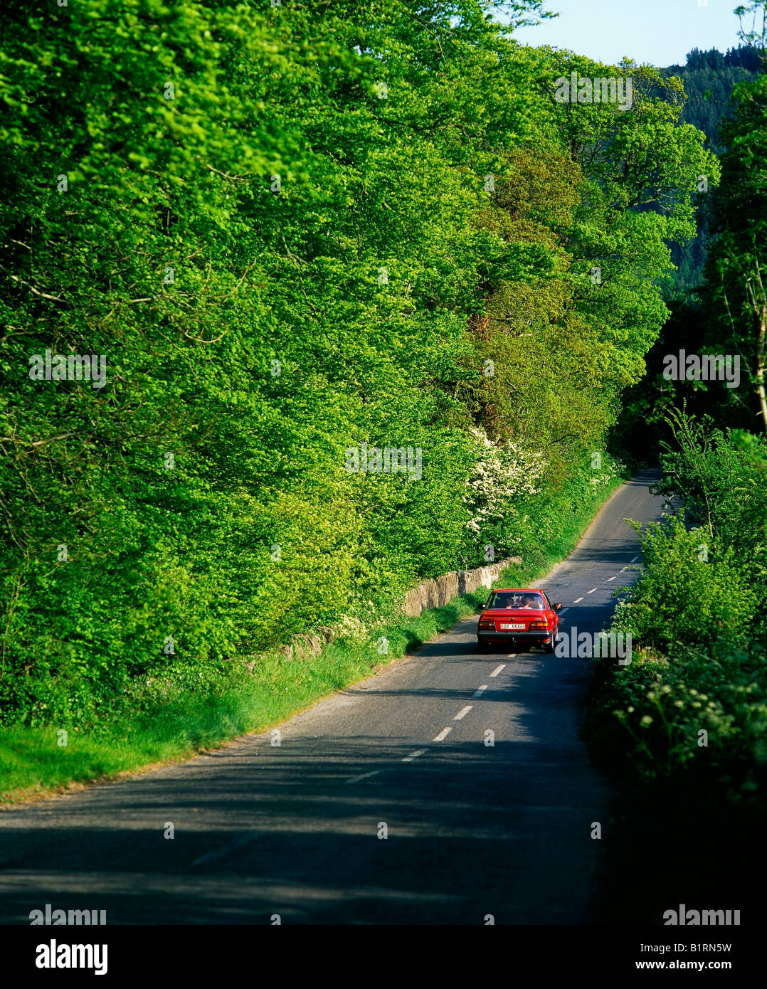 Glen of aherlow tipperary ireland hi-res stock photography and images ...