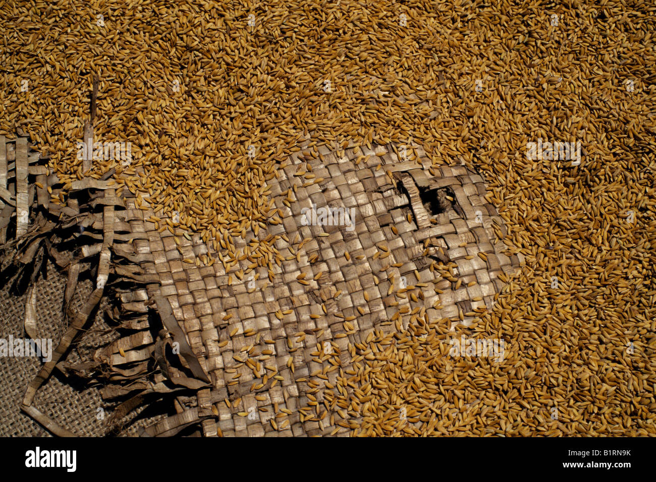 Rice straw mats hi-res stock photography and images - Alamy