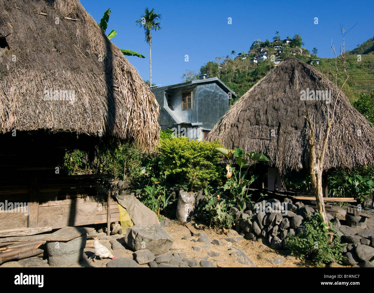 Cambulo Village, Ifugao huts, Banaue, Luzon, Philippines, Asia Stock Photo - Alamy