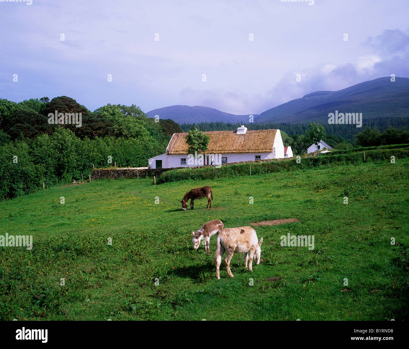Muckross traditional farms hi-res stock photography and images - Alamy