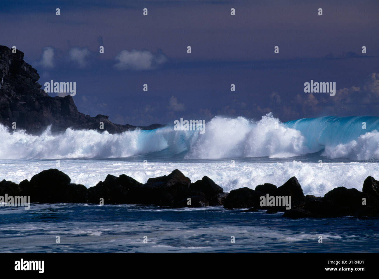 Boucan hi-res stock photography and images - Alamy