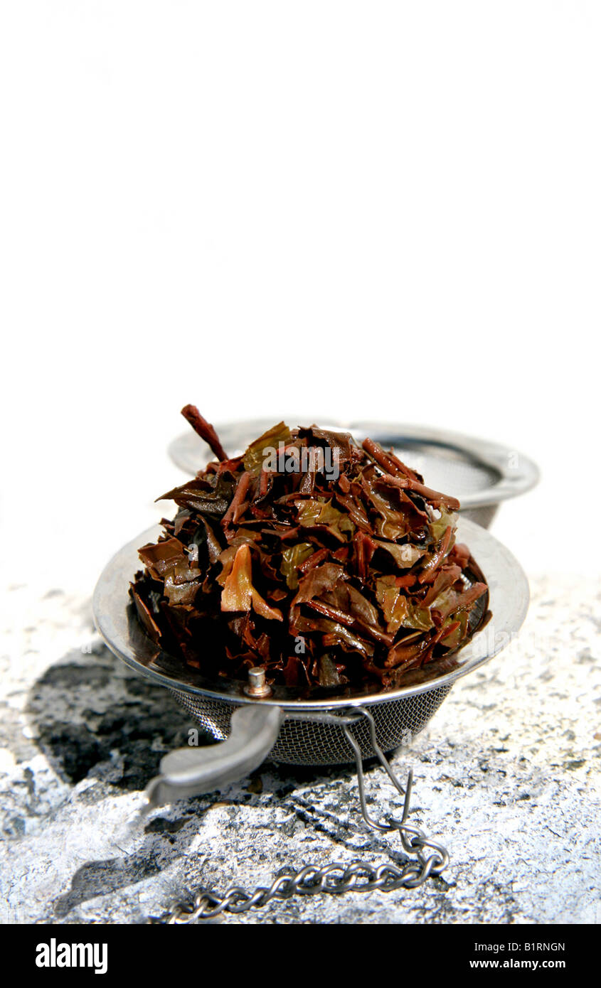 Fresh Tea Leaves with metal strainer/diffuser Stock Photo - Alamy