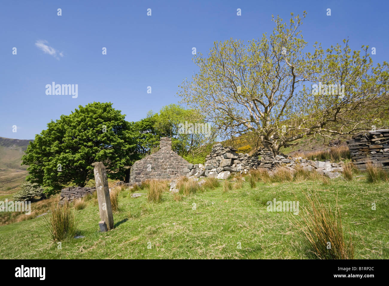 Cwm Pennant Gwynedd North Wales UK May Ruined stone farm building in ...