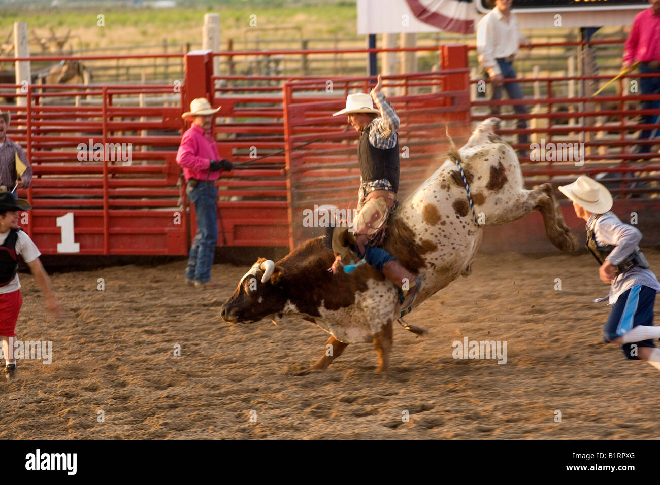 Rodeo photos hi-res stock photography and images - Alamy