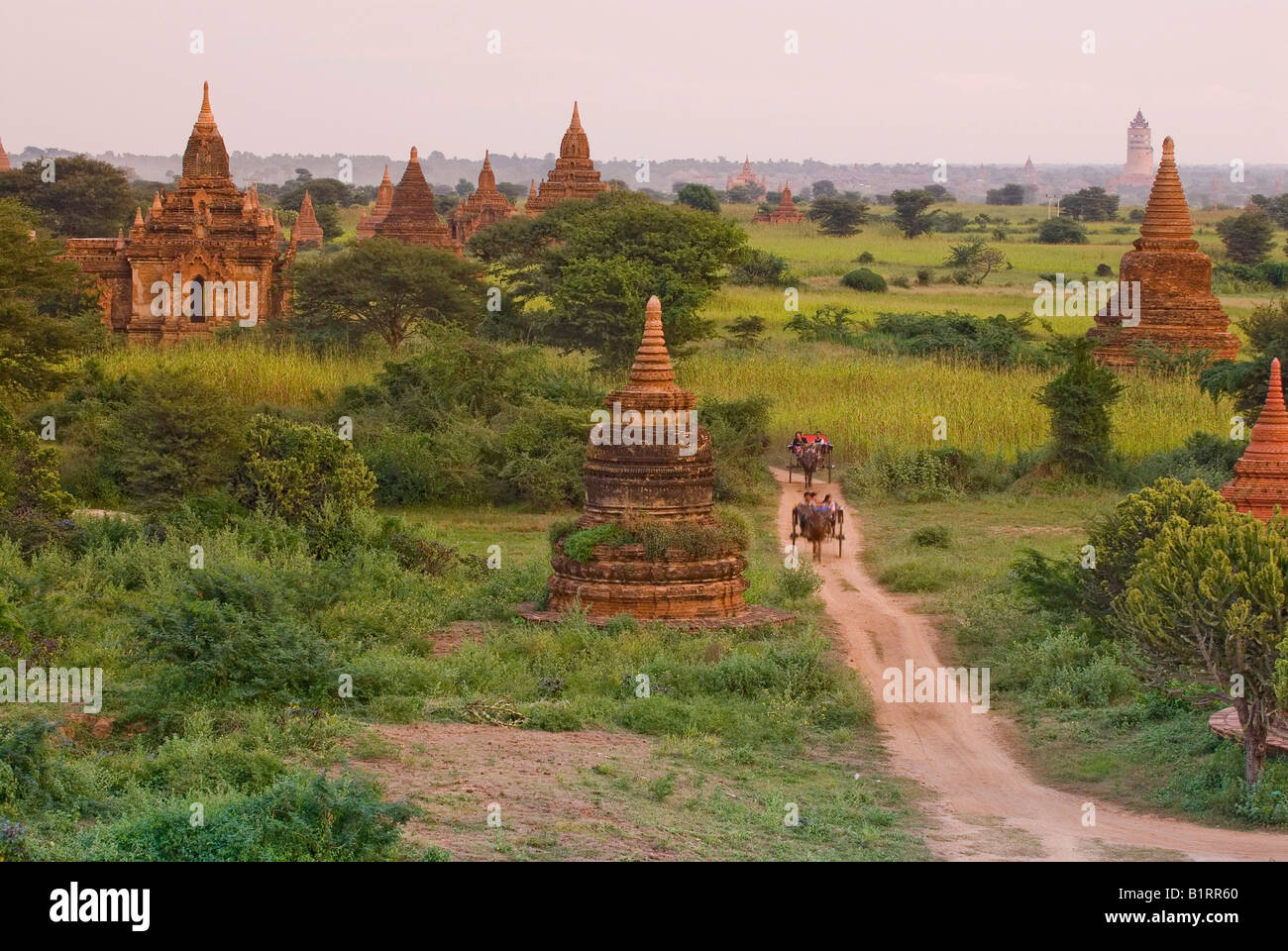 Burmese pagoda field of Bagan, Bagan, Burma, Myanmar, Southeast Asia ...