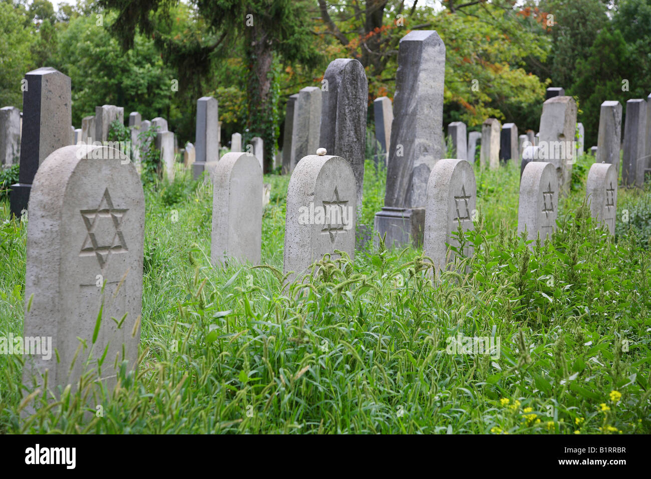Jewish section of the Zentralfriedhof, Central Cemetery in Vienna ...
