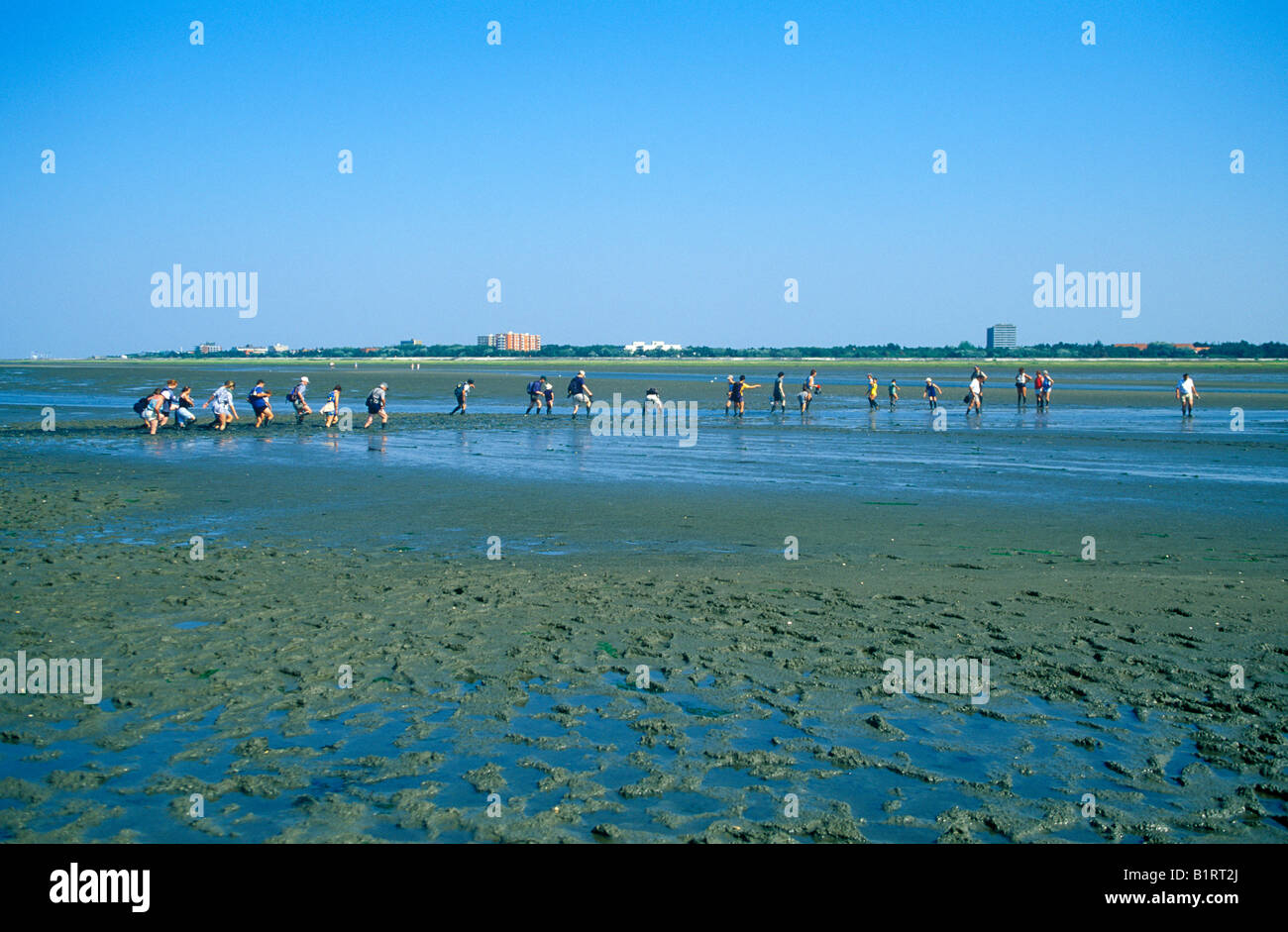 mudflat hiking tour, North Sea Coast, Northern Germany Stock Photo - Alamy