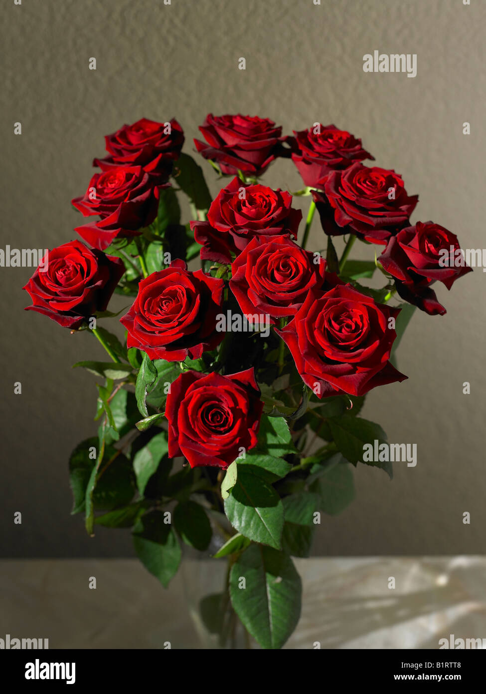 Rose sepal hi-res stock photography and images - Alamy