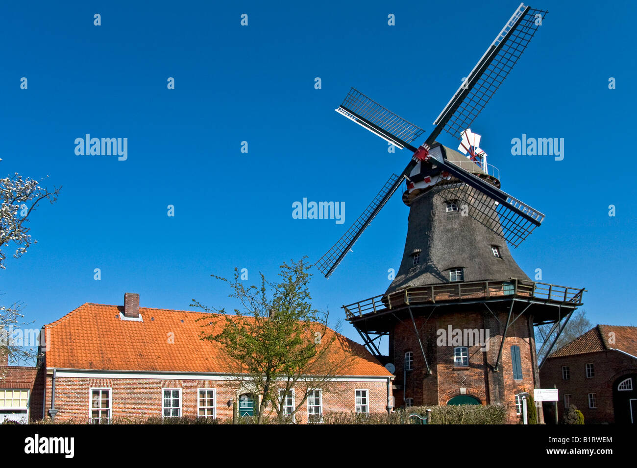 Historic Dutch windmill with wind rose, Jever, East Friesland, Lower ...