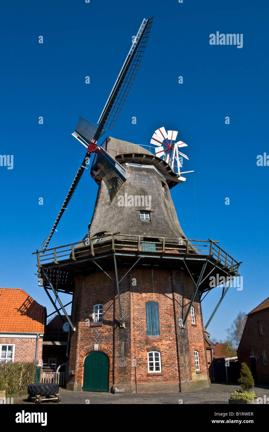 Windmill and roses hi-res stock photography and images - Alamy