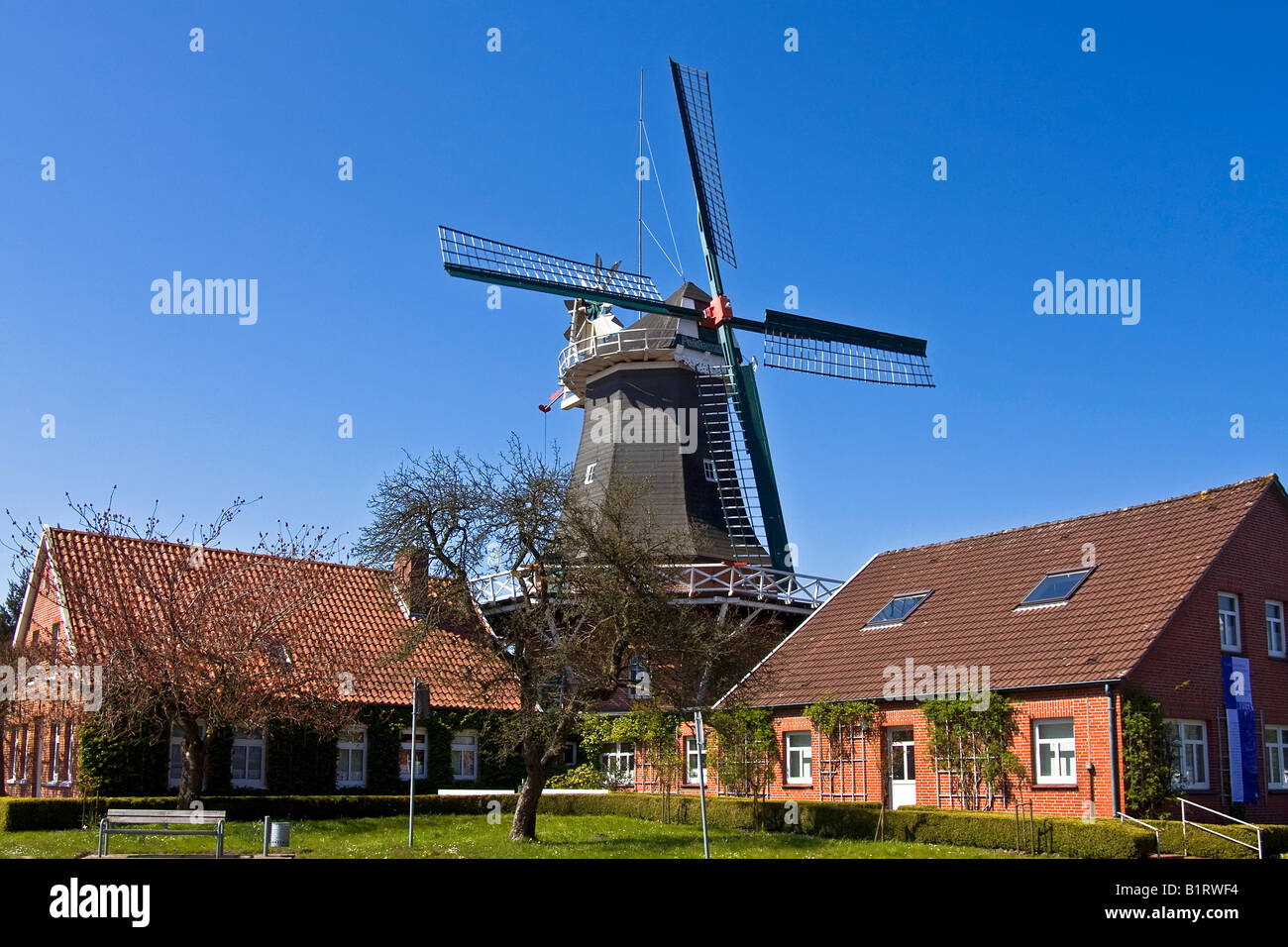 Historical windmill build in typical Dutch style showing the fantail at ...