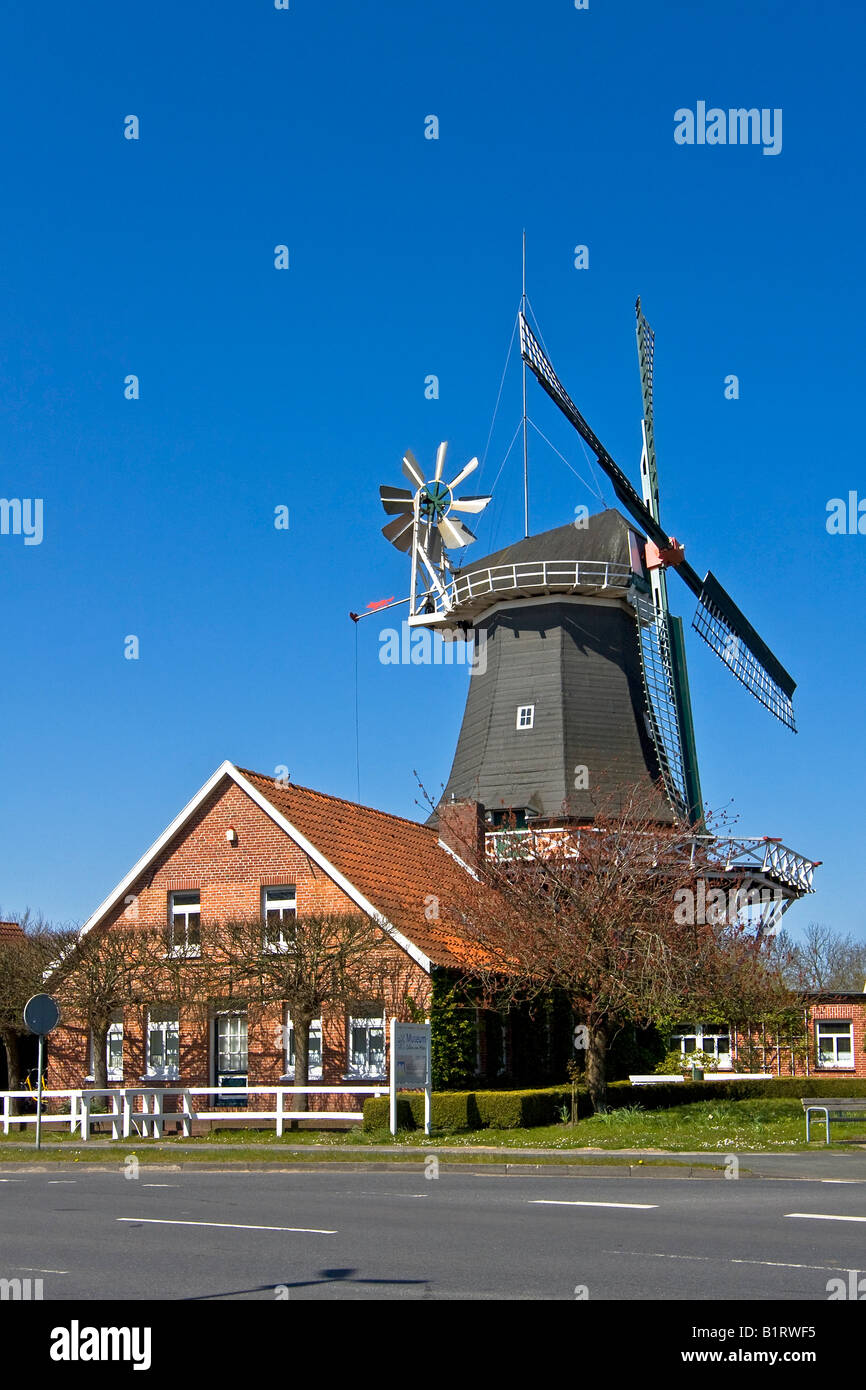 Historical windmill build in typical Dutch style showing the fantail at ...