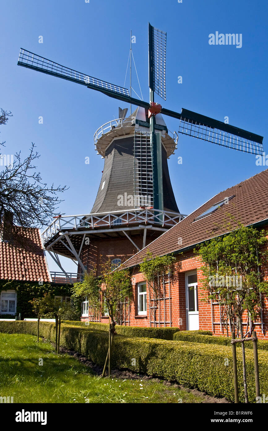 Historical windmill build in typical Dutch style with the fantail at ...