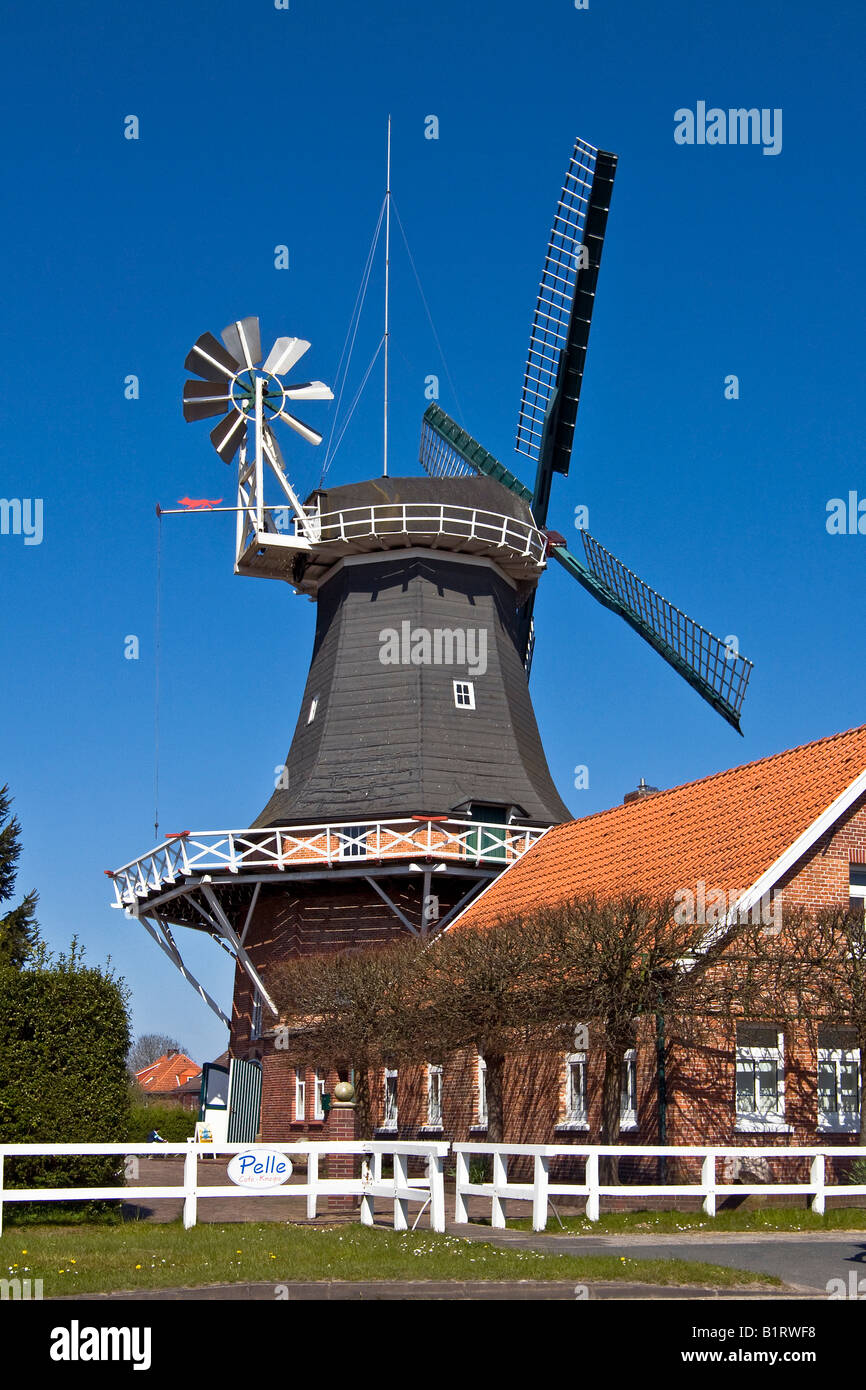 Historical windmill build in typical Dutch style showing the fantail at ...