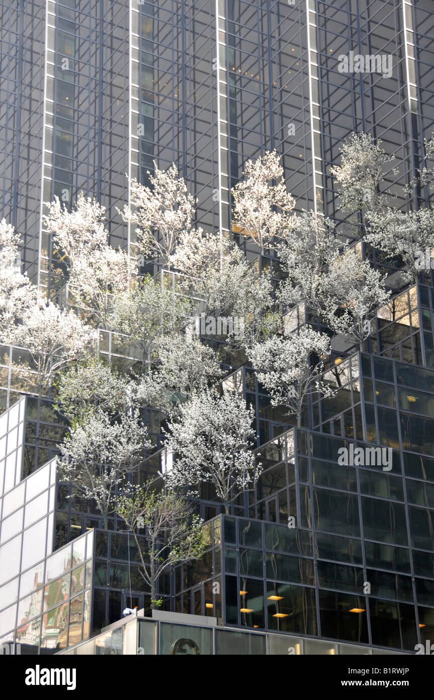 Trump tower trees manhattan hi-res stock photography and images - Alamy
