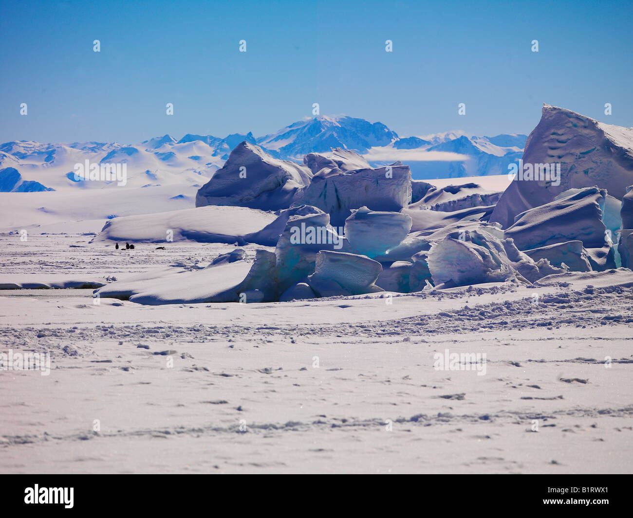 Icebergs at Cape Washington, Antarctic Stock Photo - Alamy
