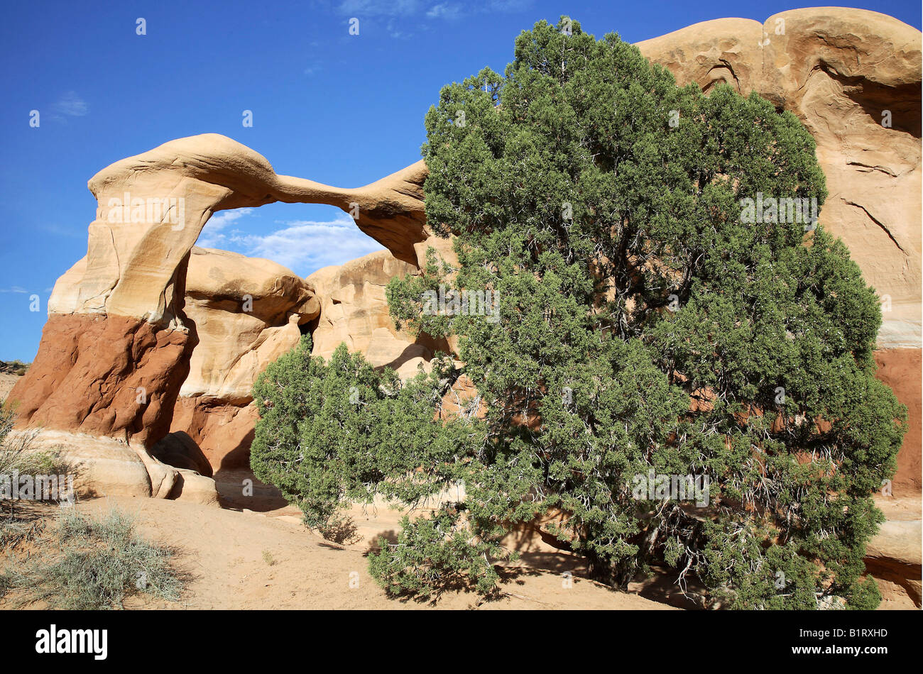 Metate Arch rock window, Devils Garden, Grand Staircase-Escalante ...