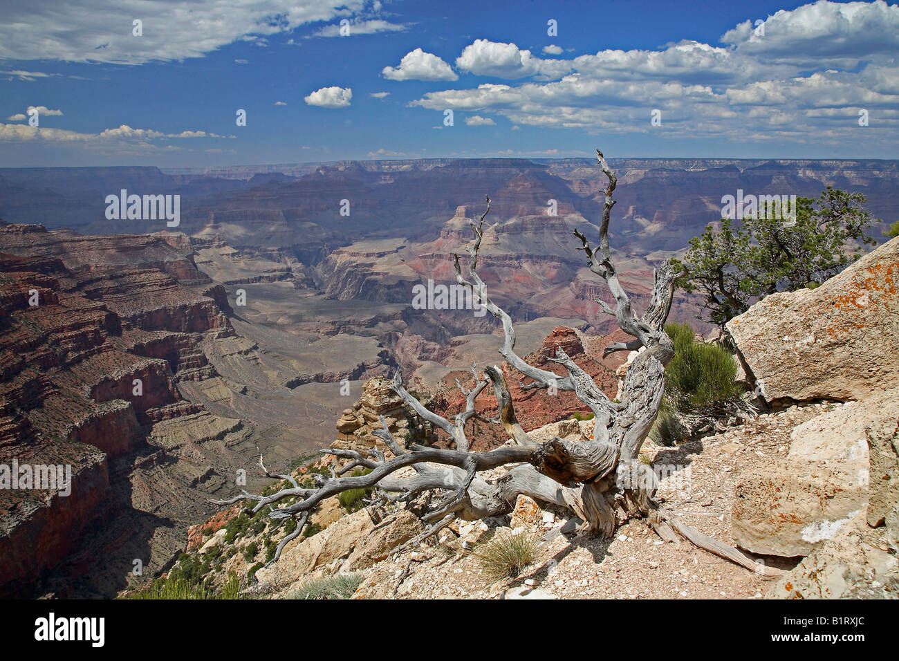 Yaki Point, Grand Canyon National Park, Arizona, USA Stock Photo - Alamy