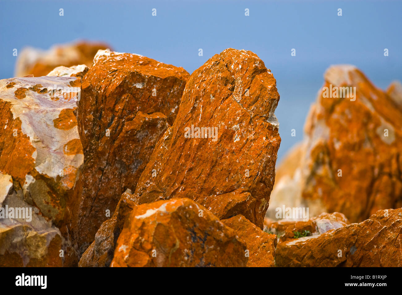 Oxydated iron ore rocks, South Africa Stock Photo - Alamy