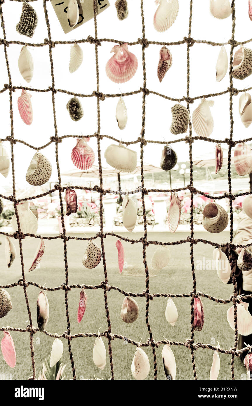 Hanging shells hi-res stock photography and images - Alamy