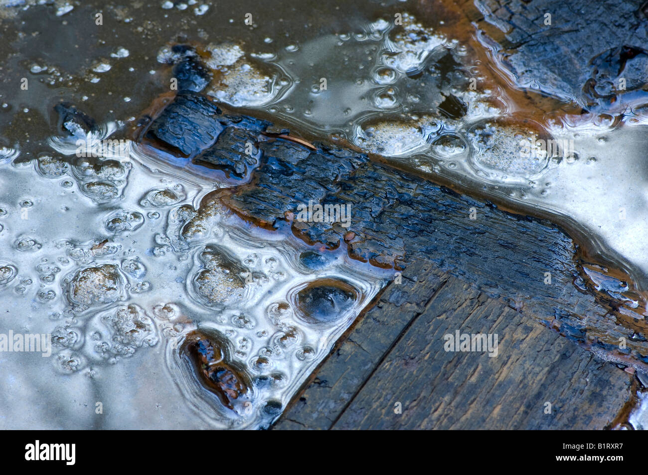 Partially burnt wood floating in filthy water Stock Photo - Alamy