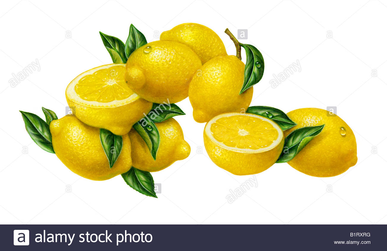 Lemon Zest Illustration Stock Photos & Lemon Zest Illustration Stock ...