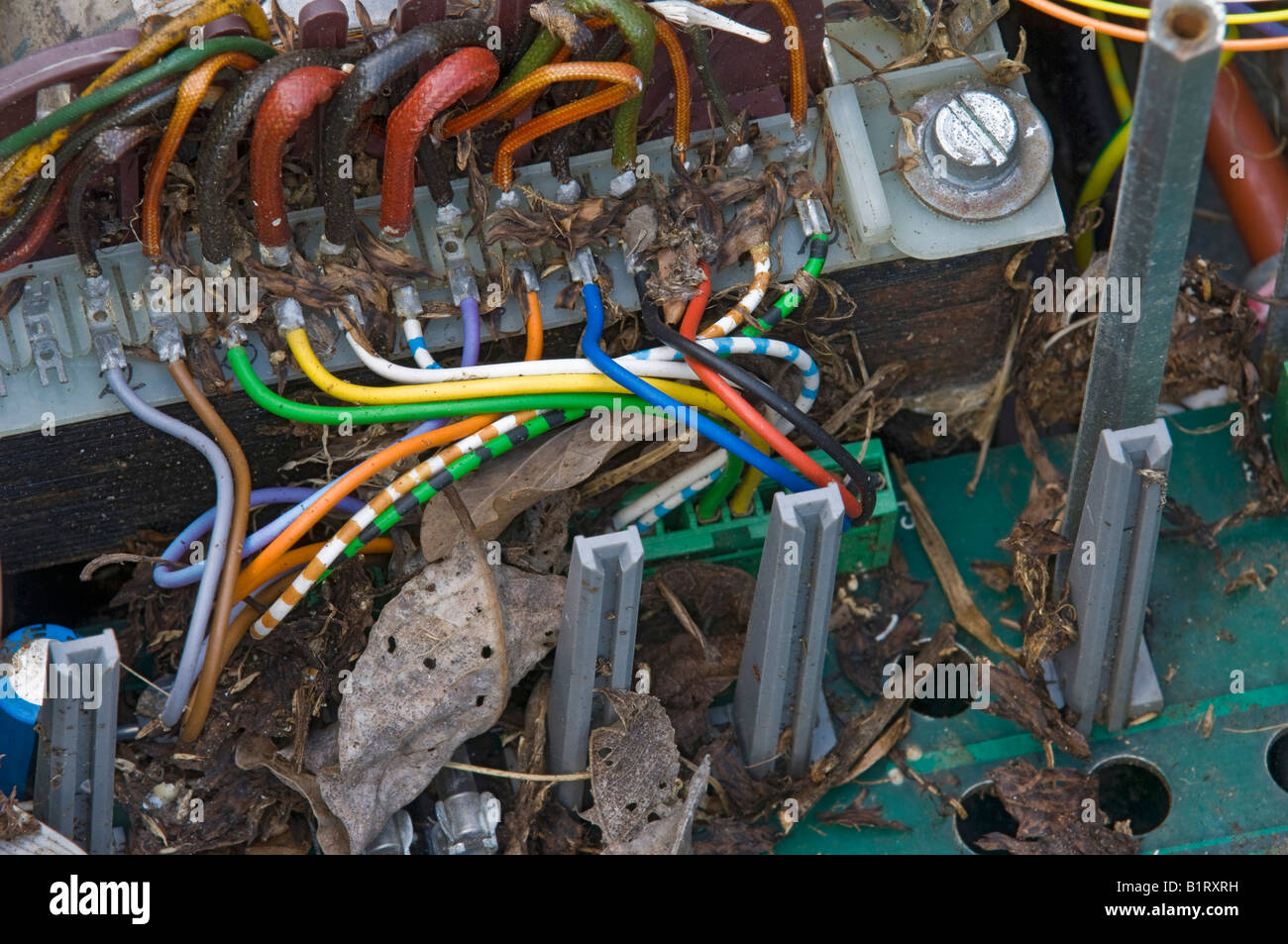 Dirty electronic device with coloured wires Stock Photo - Alamy