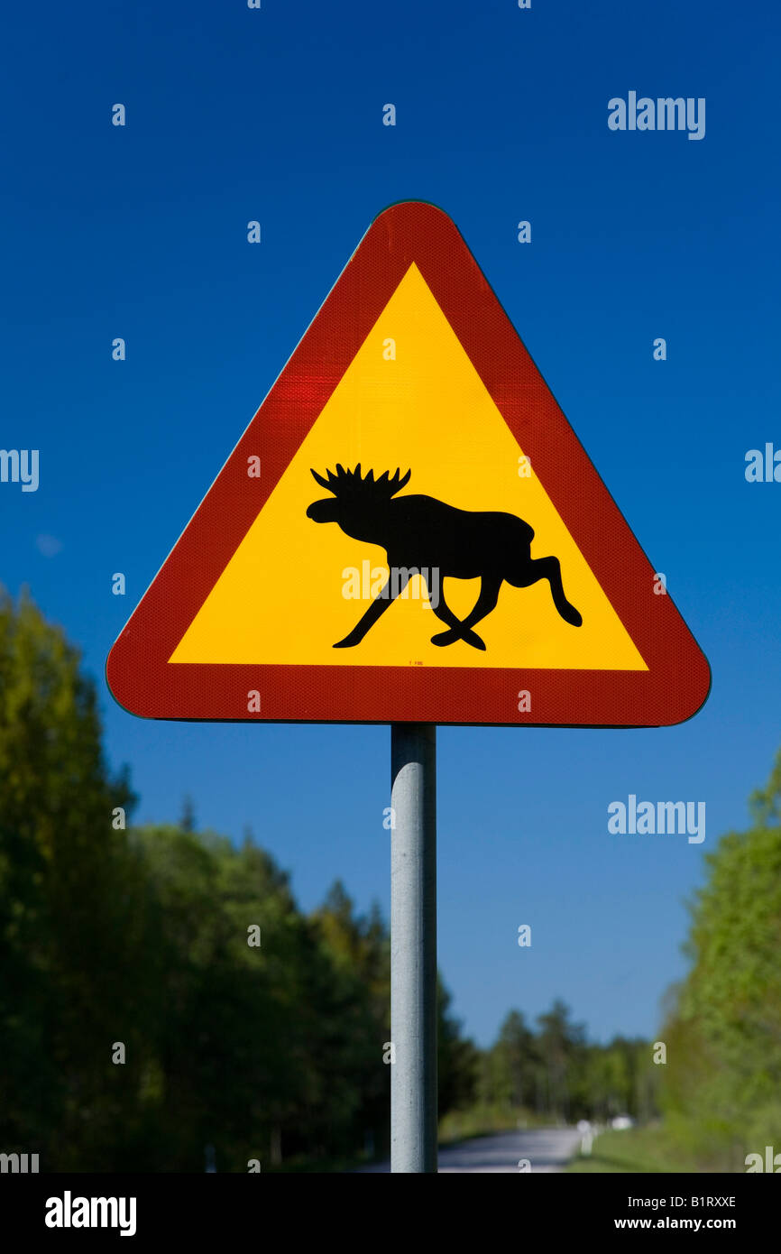 Elk Crossing Sign