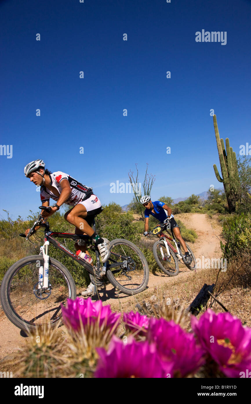 North american racing series hi-res stock photography and images - Alamy