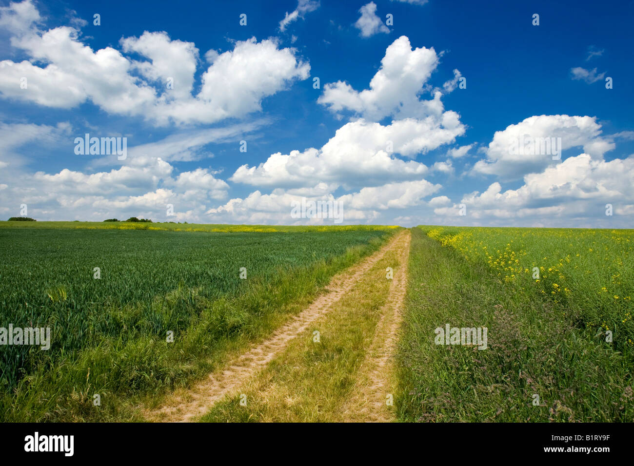 Country europe path hi-res stock photography and images - Alamy